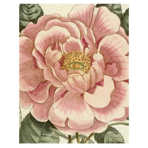 13 New Design and Architecture Books to Gift This Year