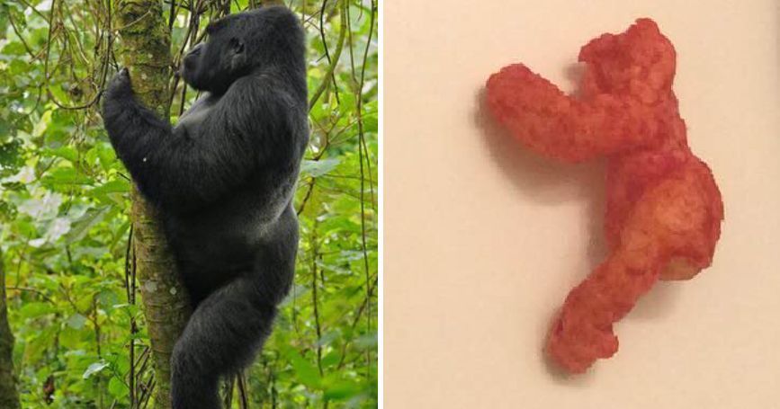 Cheeto Shaped Like Harambe Sells for $100K on eBay