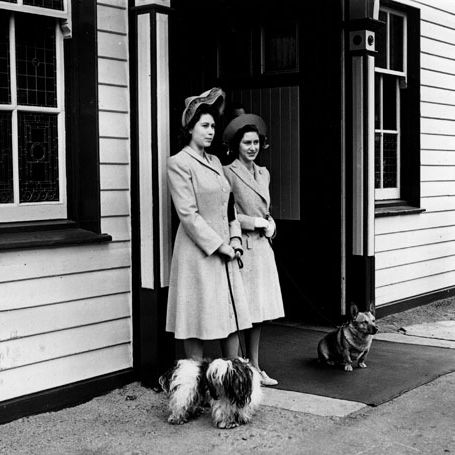 See Queen Elizabeth With Corgis, a Panda, Elephants, and Other Animals
