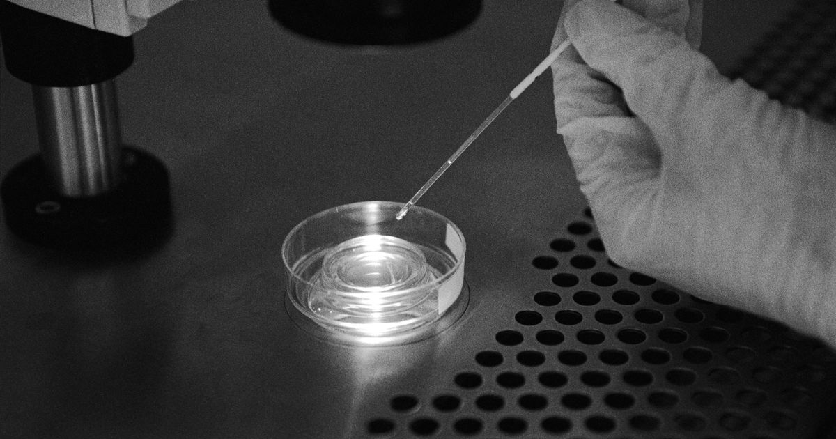 What the Alabama IVF Ruling Means for Patients and Providers