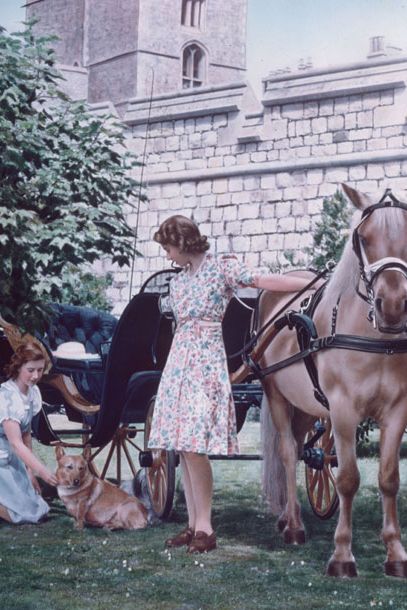 See Queen Elizabeth With Corgis, a Panda, Elephants, and Other Animals