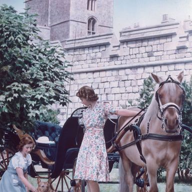 See Queen Elizabeth With Corgis, a Panda, Elephants, and Other Animals