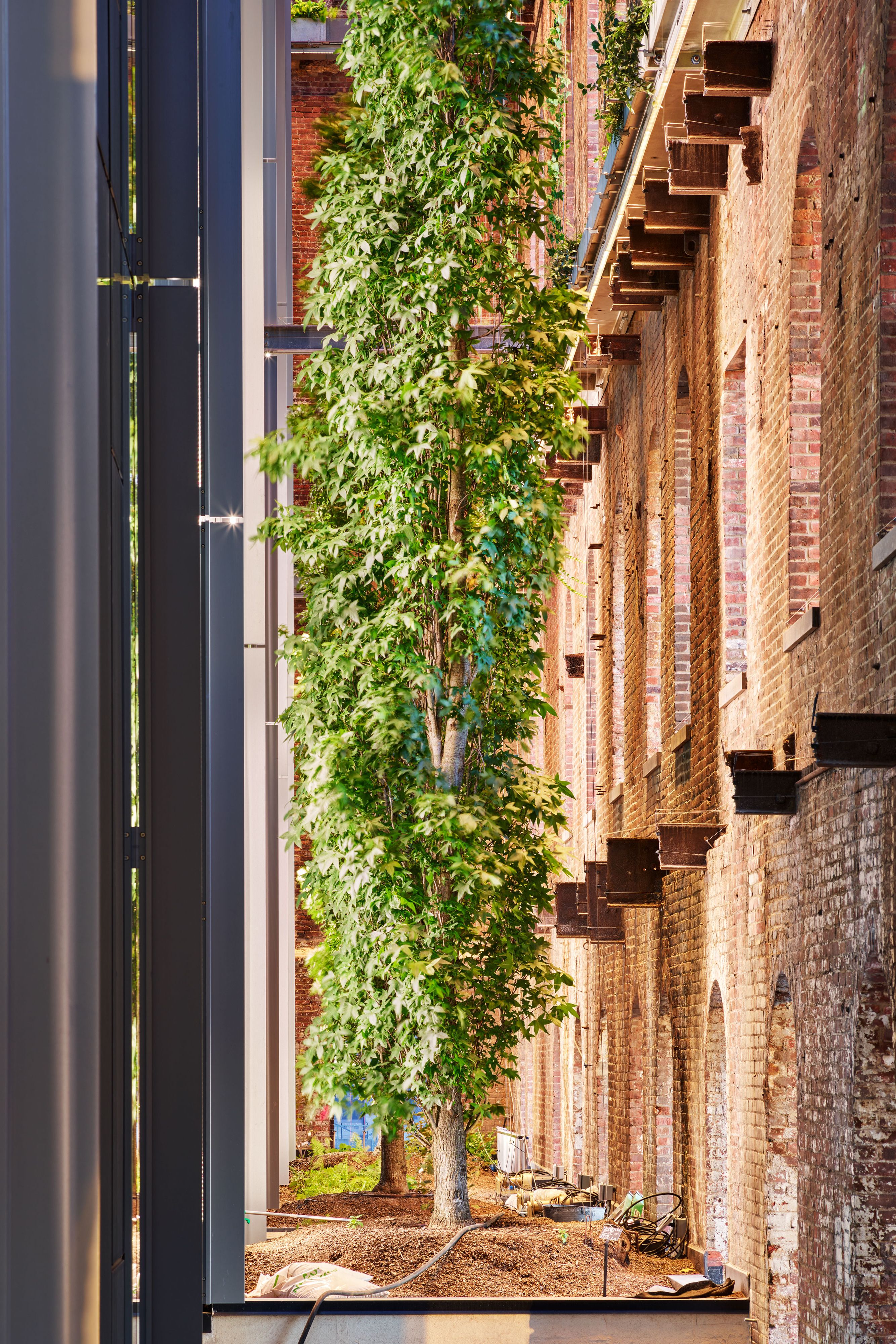 Architecture Review: Domino Sugar in Brooklyn