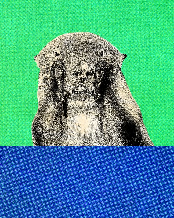 Who Cares If Your Kids Embarrass You?