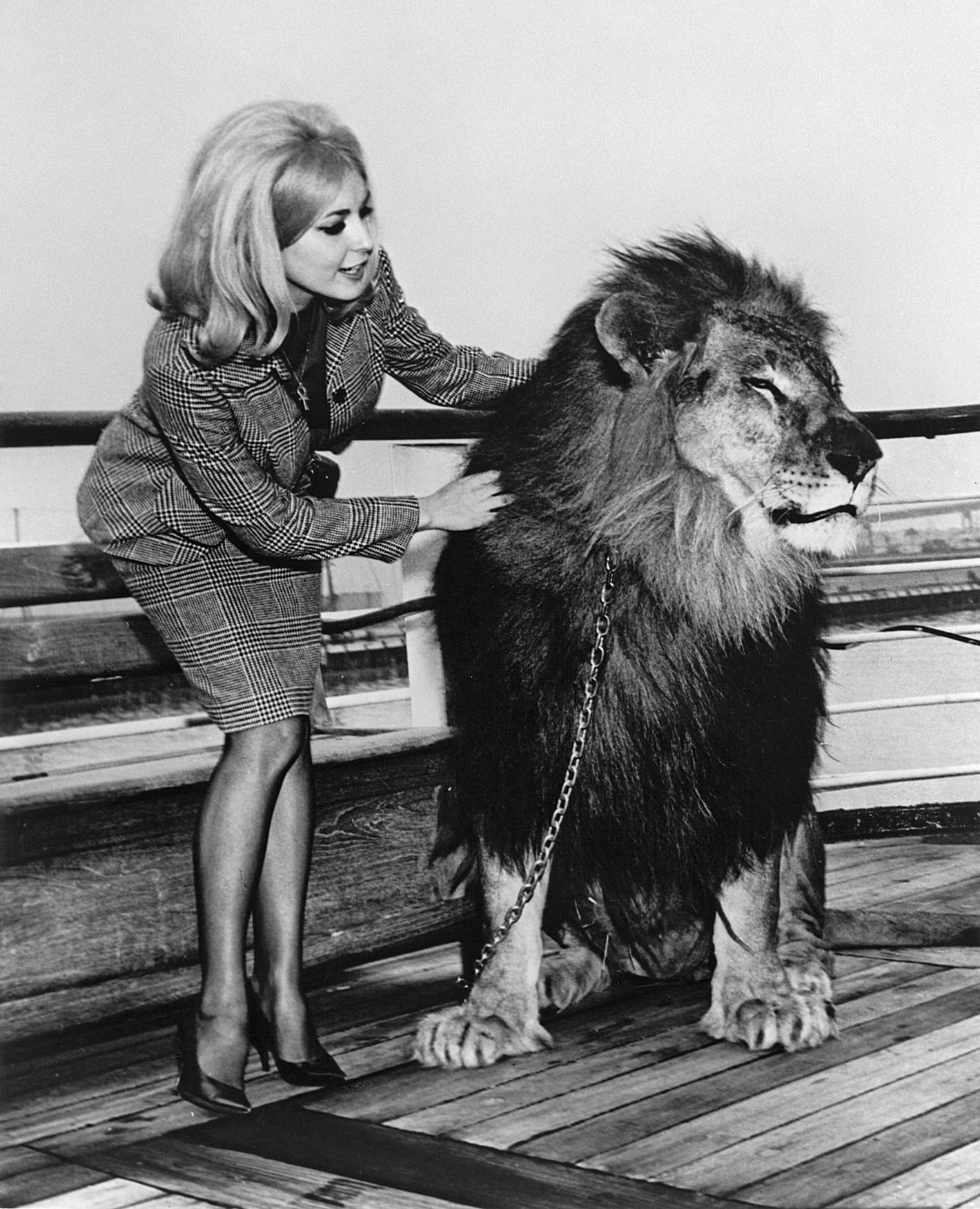A Look Back at Sharon Tate’s Carefree Glory Days