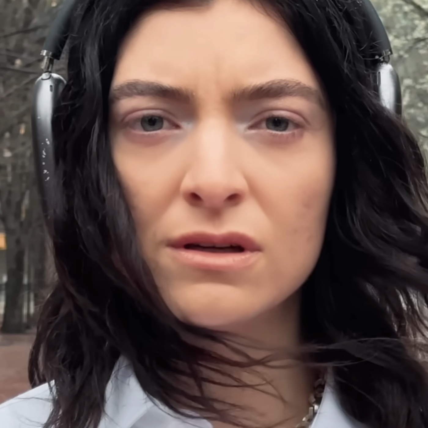 Lorde Straightened Hair