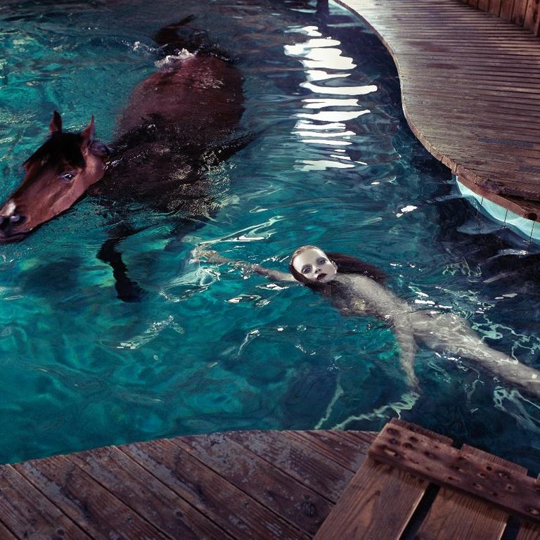 Phyllis Posnick Stoppers: Photographs from My Life at Vogue