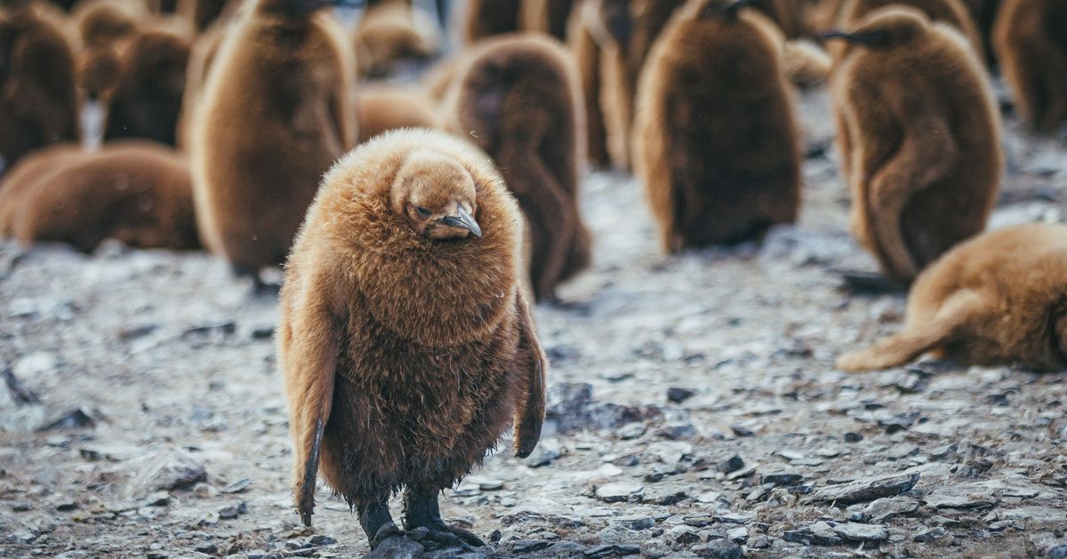 How We Learn to Exclude People -- Science of Us