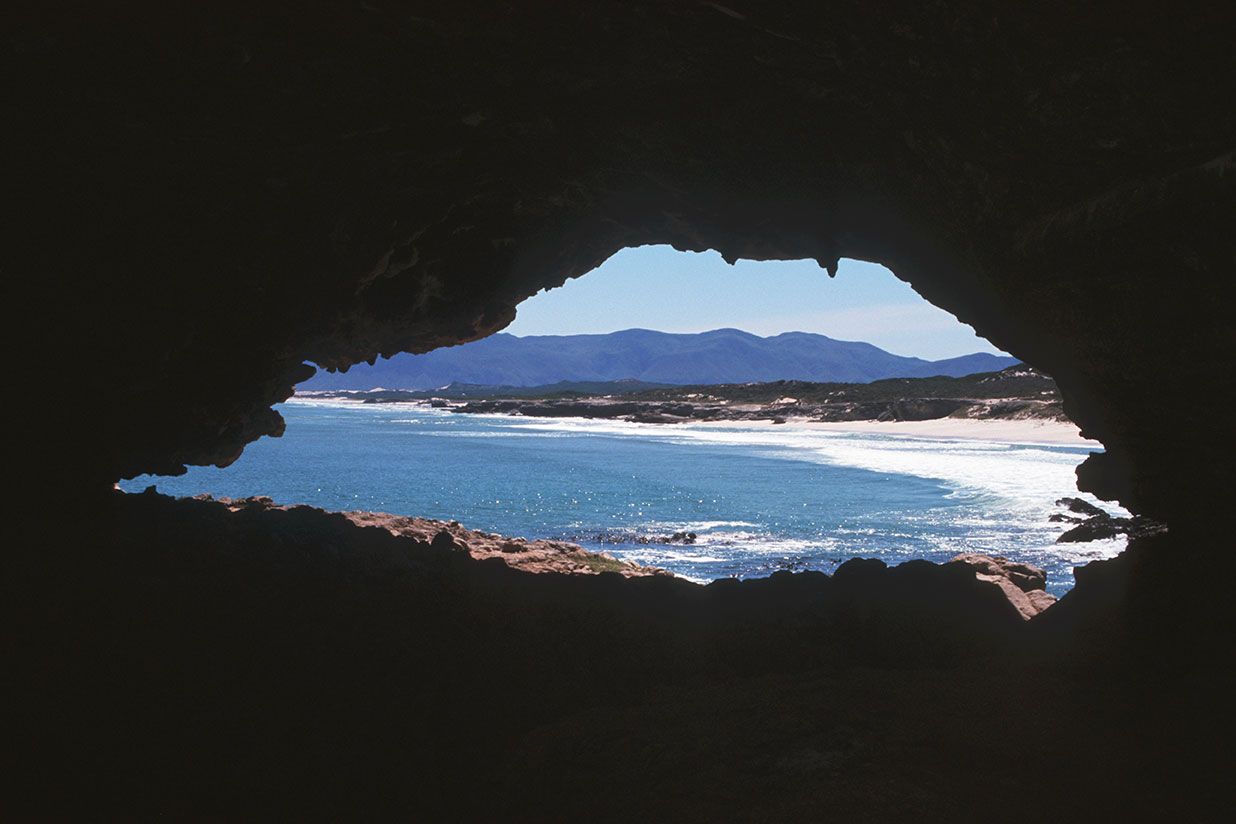 The Best Day Trips From Cape Town