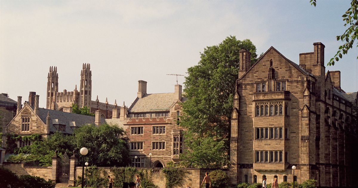 A Yale Dean Was Put on Leave for Writing Mean Yelp Reviews