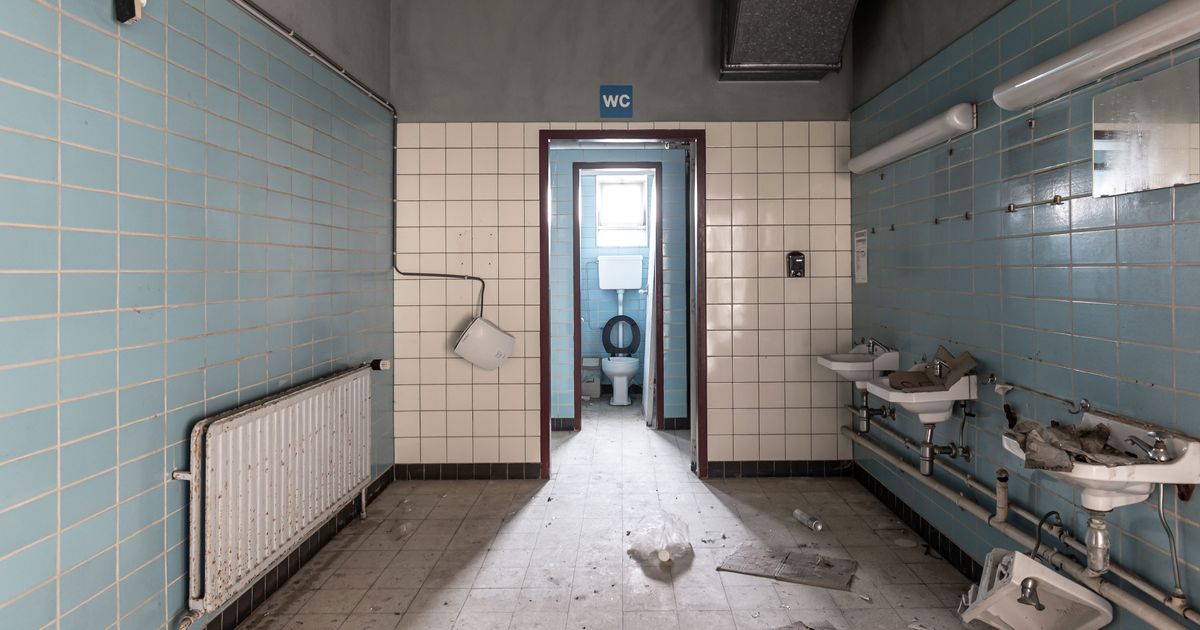 The Grown-Up Hysteria Around TikTok’s Devious Licks Trend