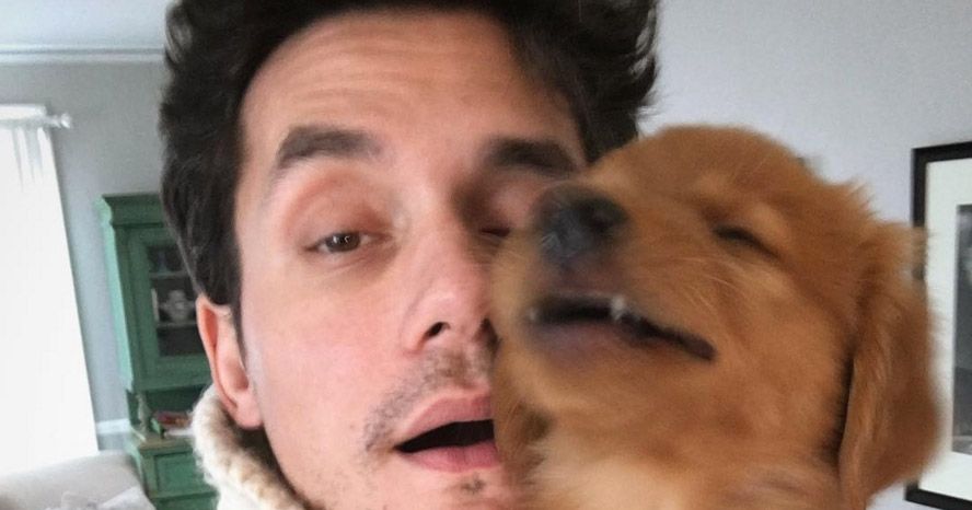 Puppy Tries Desperately to Escape Relationship With John Mayer