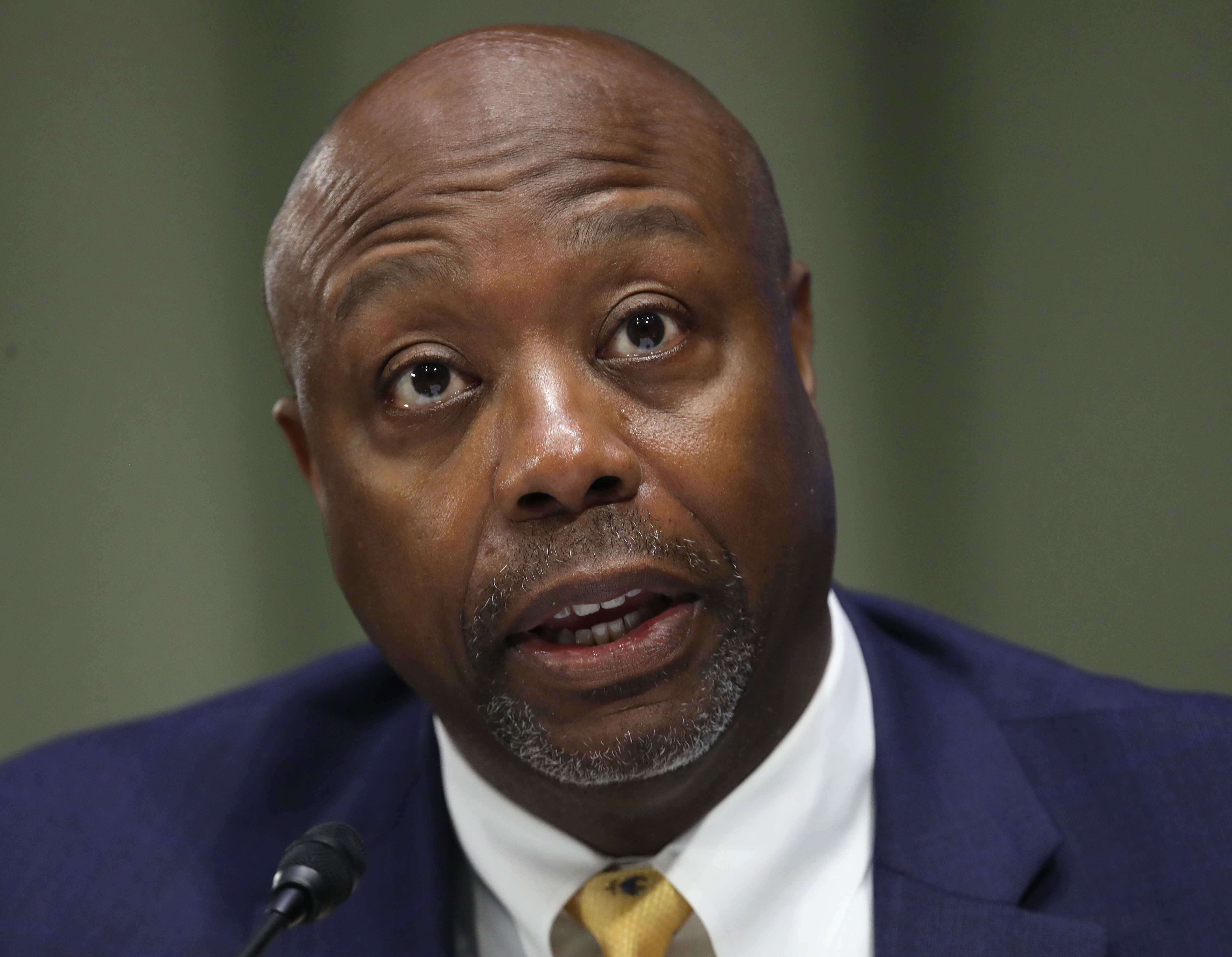 Carolina Scott's Instagram, Twitter & Facebook on IDCrawl