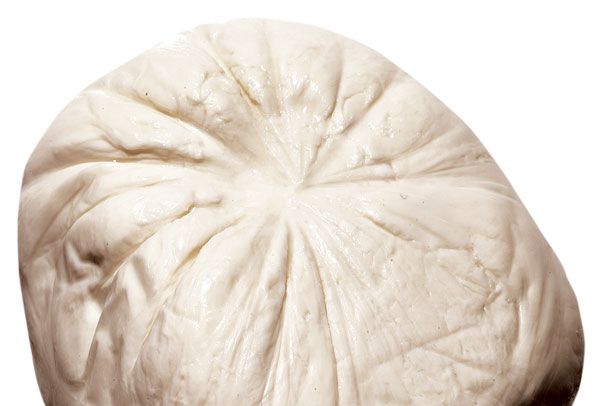 From Adelegger to Zimbro: 50 Runny, Yummy, Crumbly Cheeses to Eat Now