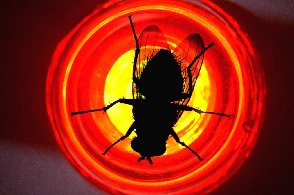 Vulture Readers Pick Their Favorite Shots From Breaking Bad