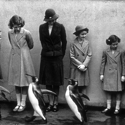 See Queen Elizabeth With Corgis, a Panda, Elephants, and Other Animals