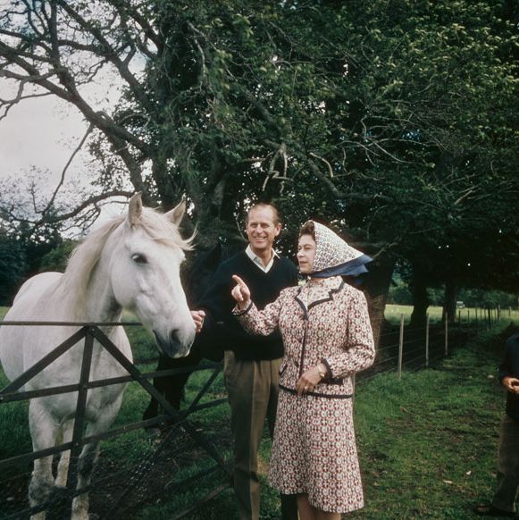 See Queen Elizabeth With Corgis, a Panda, Elephants, and Other Animals