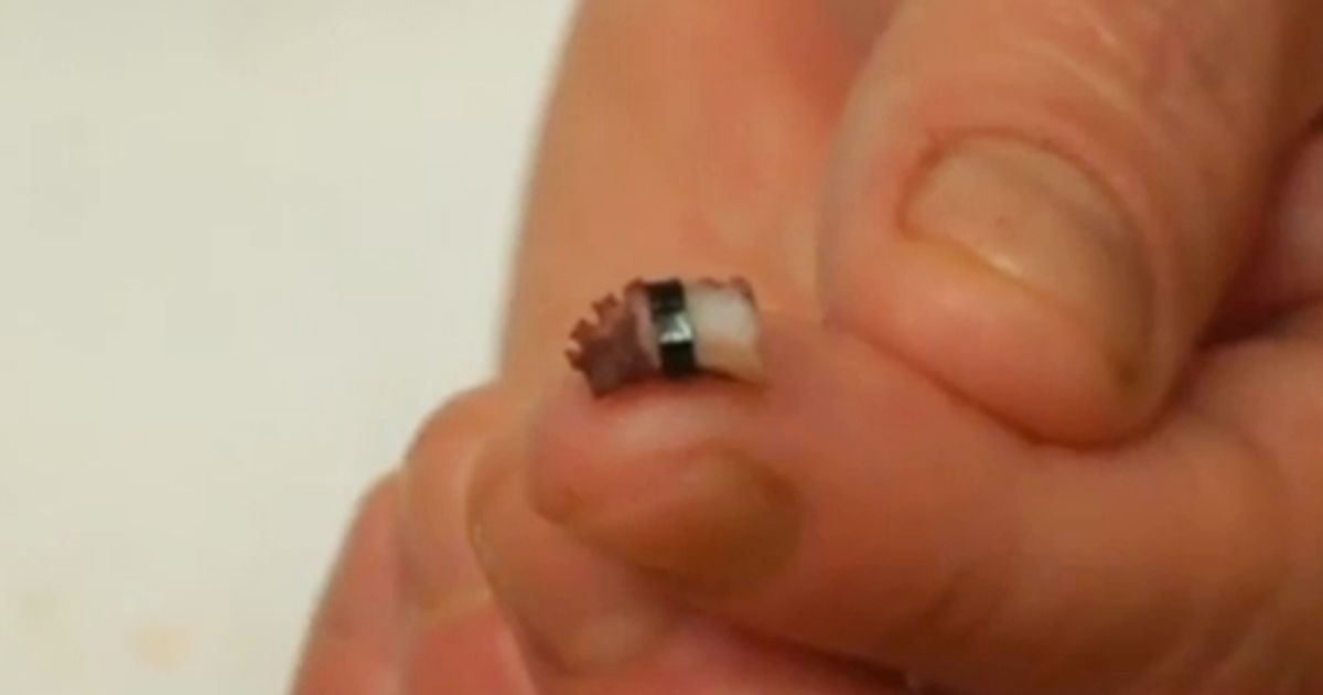 Watch This Japanese Chef Make Very, Very Tiny Sushi