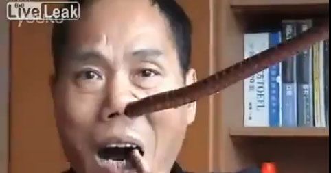 Watch a Guy Shove a Live Snake Up His Nose and Mouth Like a Pro
