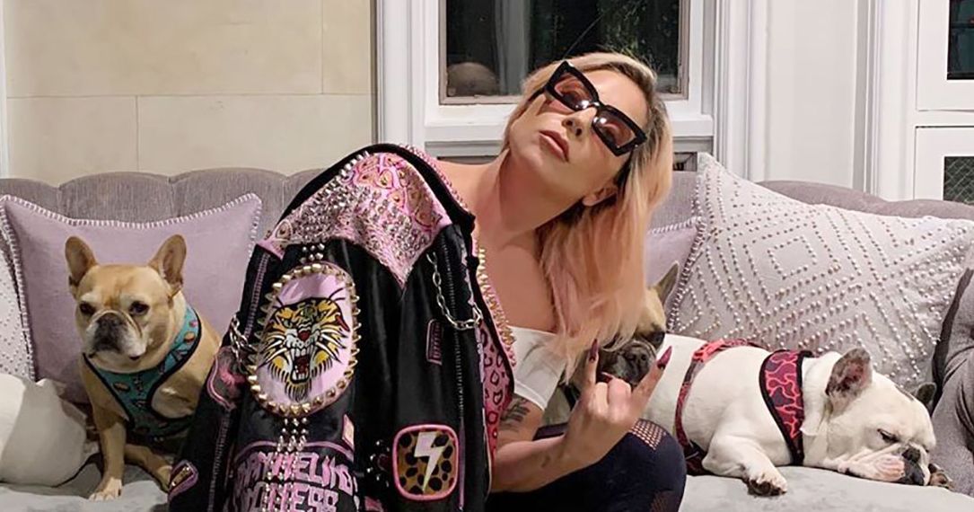 Celebrities In Self-Isolation During Coronavirus Pandemic