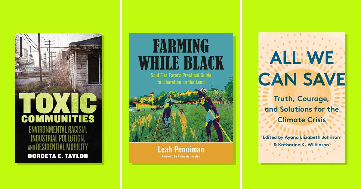 13 Best Books About Environmental Justice 2021 | The Strategist