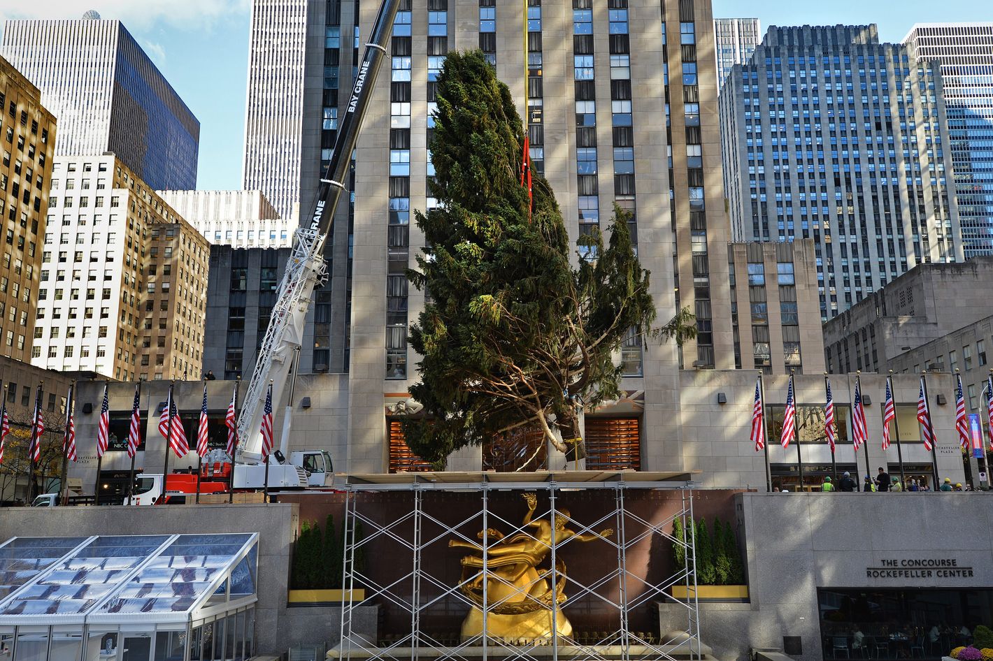 Surprise: It’s Christmastime!