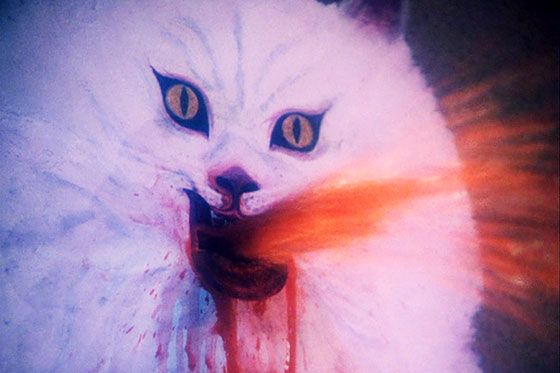 House: A Guide to the Weirdest Horror Movie Ever Made - Slideshow - Vulture