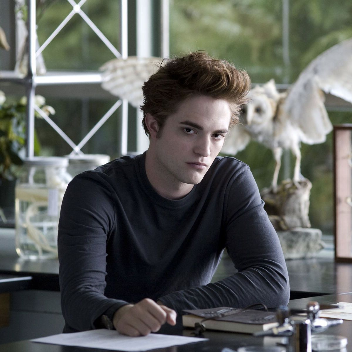 Edward Cullen Full Body Twilight