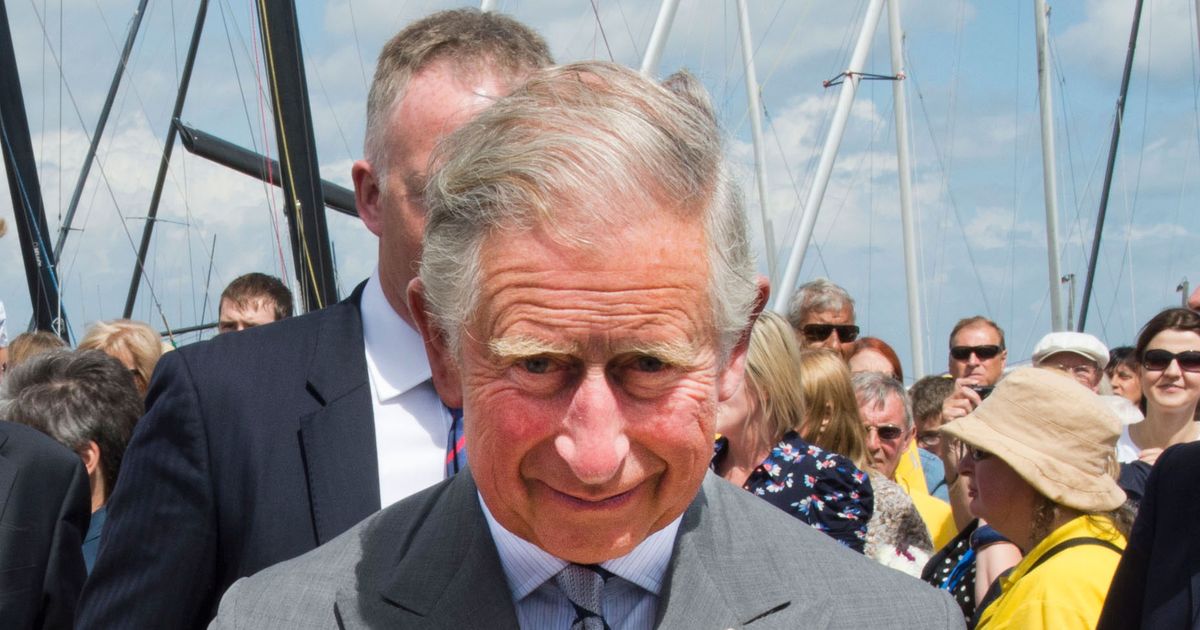 Prince Charles Models Royal Baby Onesie