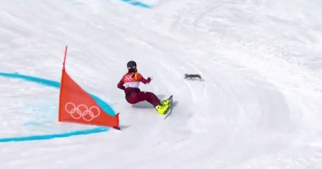 Snowboarding Squirrel