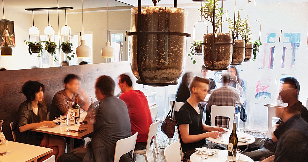 Wallflower’s Jason Soloway Planning Replacement for Toucan and the Lion