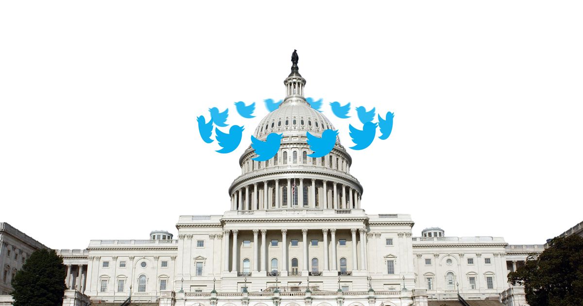 Who Do Members of Congress Follow on Twitter?