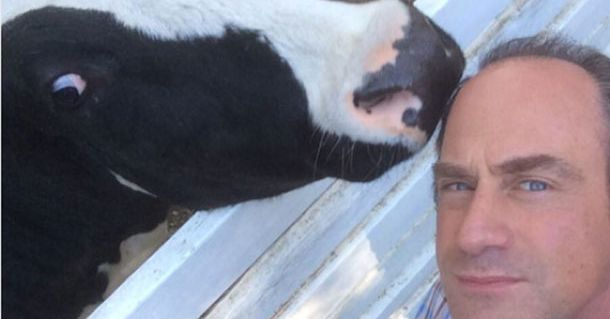 This Christopher Meloni Meme Is Very Good