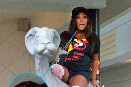 The Many Faces of Snooki - Slideshow - Vulture