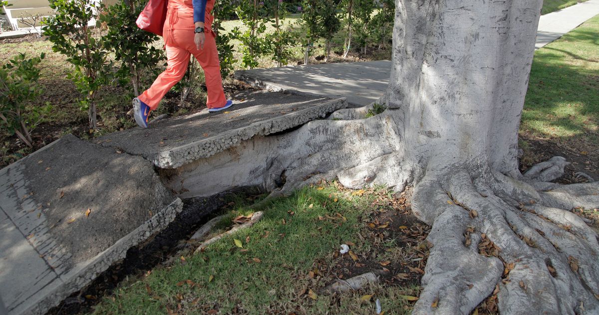 Eric Garcetti’s Broken Sidewalks Are His Los Angeles Legacy