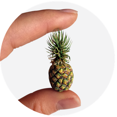 The Everything Guide to Mini Mania