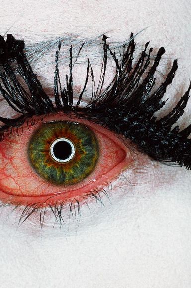 Phyllis Posnick Stoppers: Photographs from My Life at Vogue