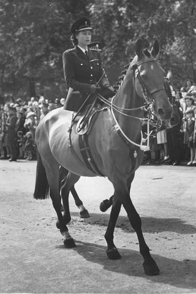 See Queen Elizabeth With Corgis, a Panda, Elephants, and Other Animals