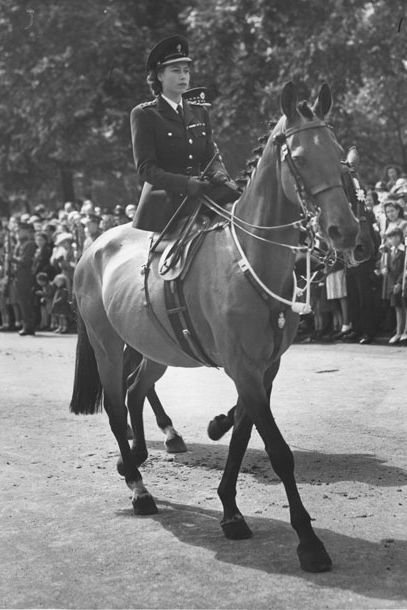 See Queen Elizabeth With Corgis, a Panda, Elephants, and Other Animals