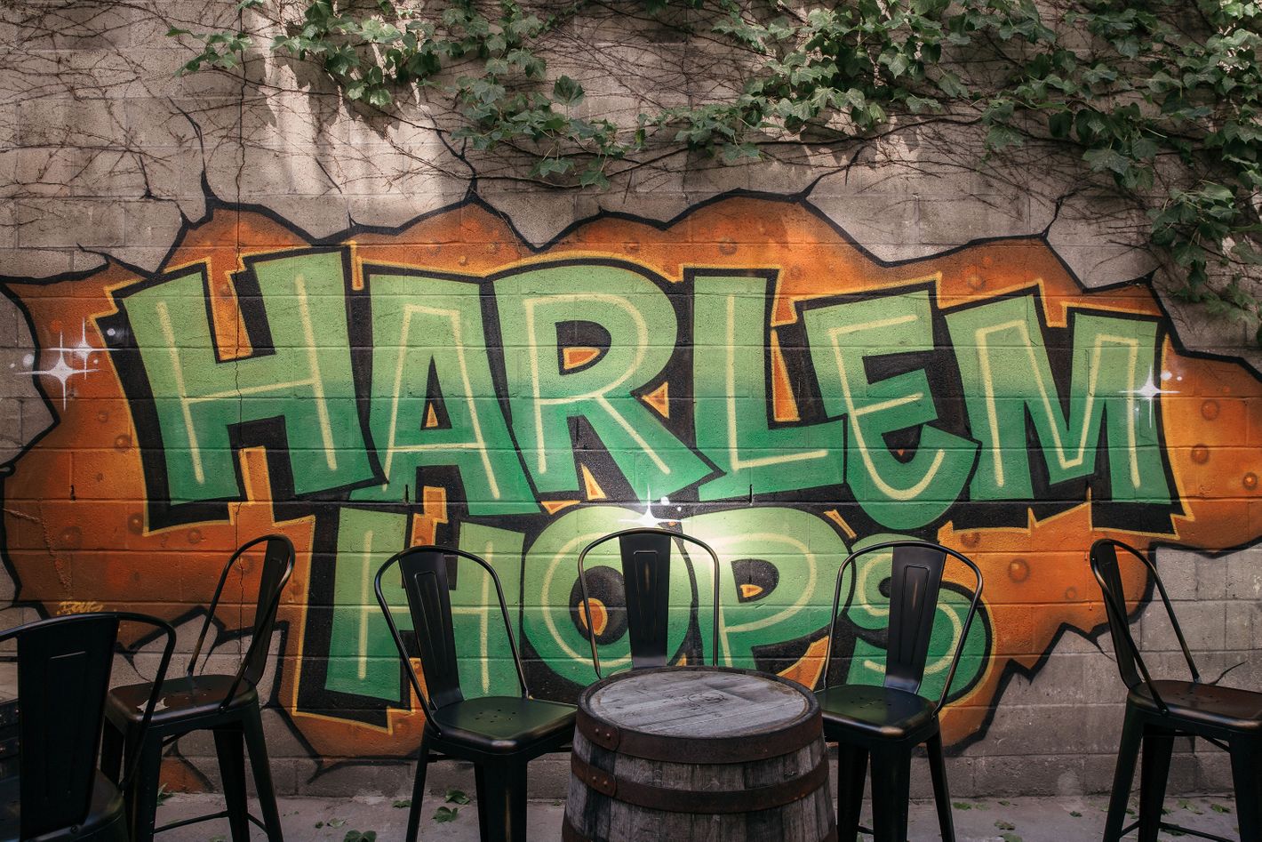 Harlem Hops Craft-Beer Bar Opens in NYC