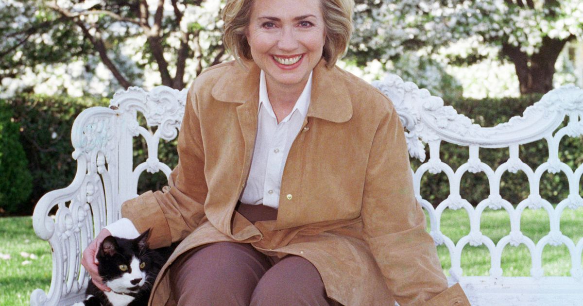 Hillary Clinton Talks Cat GIFs and Donald Trump