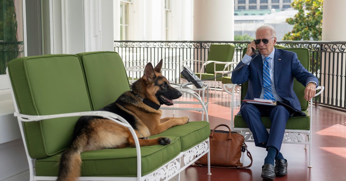 Biden Dog Commander Is the Only Good White House Scandal