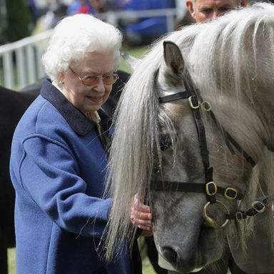 See Queen Elizabeth With Corgis, a Panda, Elephants, and Other Animals