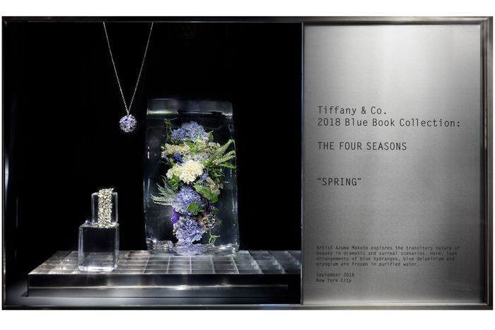 Check Out These New Nature-Inspired Tiffany’s Windows