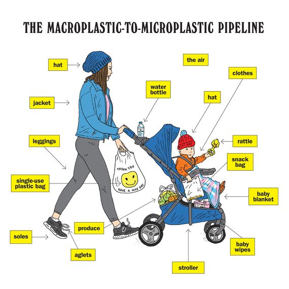 What Are Microplastics and What Are They Doing to Our Bodies