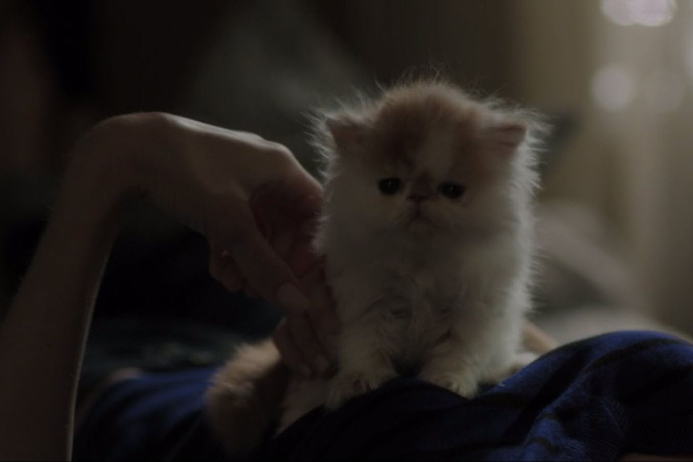 What Happened to Marnie’s Cat on 'Girls'?
