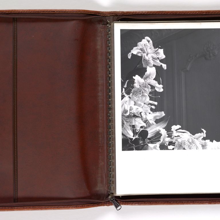 See 23 Artworks From Robert Mapplethorpe: The Archive - Slideshow - Vulture