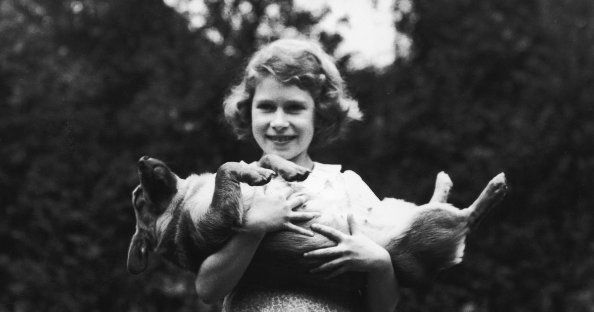 See Queen Elizabeth With Corgis, a Panda, Elephants, and Other Animals