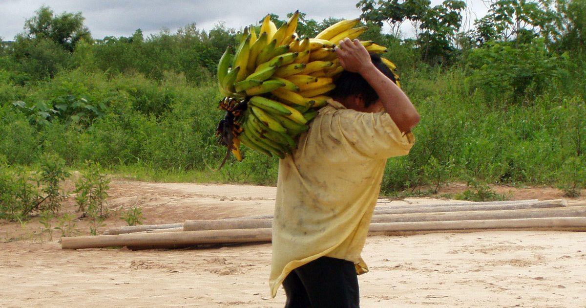 These Bolivian Farmers Have Insanely Healthy Hearts -- Science of Us