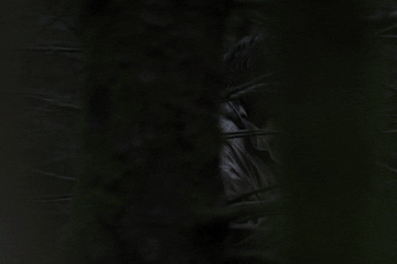 Girl Flipping Off Camera Tumblr Gif